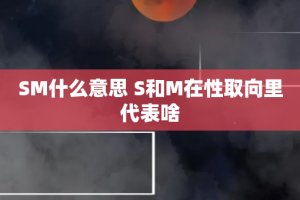 谁知道SM什么意思 S和M在性取向里代表啥-大智网汇